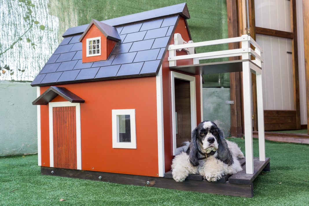 How To Soundproof Dog Crate Soundproofing Dog Kennel PetShoper How To Soundproof Dog Crate Soundproofing Dog Kennel PetShoper