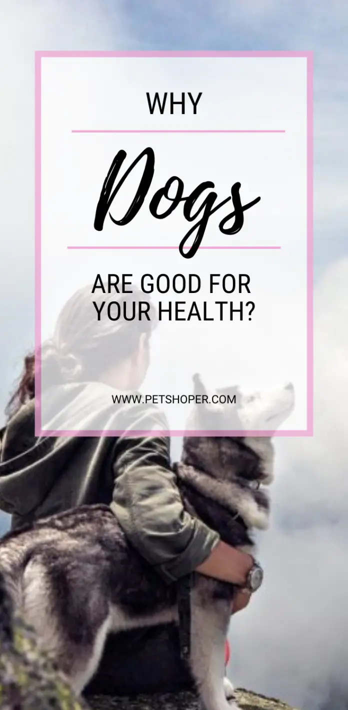 Why Dogs Are Good For Your Health? - PetShoper